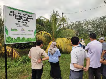 Portfolio | Rizq Idea Resources